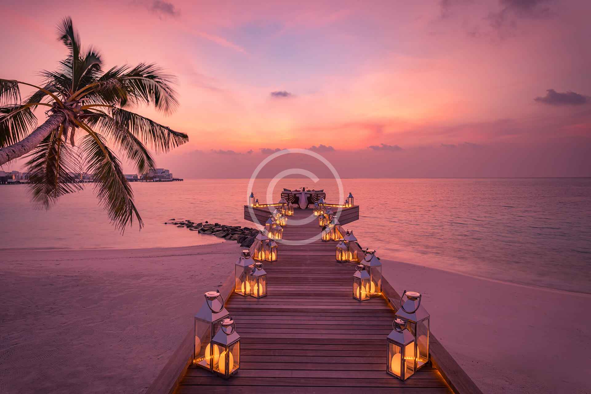 Romantic evening - BLACKLUXE Picnic & Music Festival